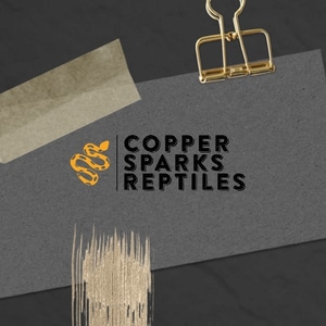 Copper Sparks Reptiles LLC - MorphMarket