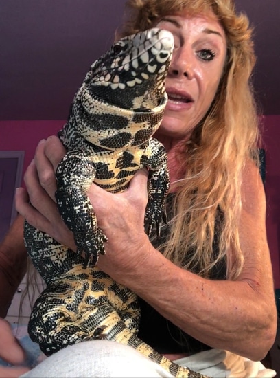 Huge And Friendly Argentine Tegus by Reptile World