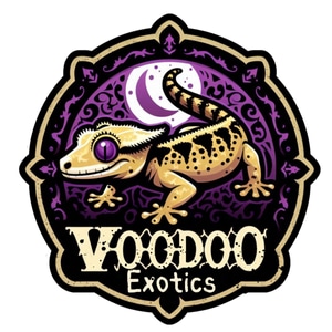Voodoo Exotics - MorphMarket