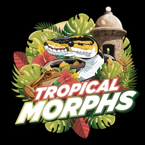 Tropical Morphs - MorphMarket