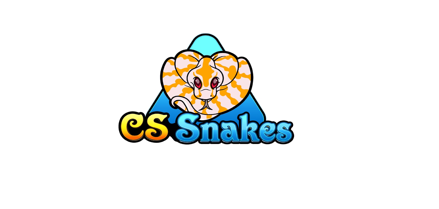 Kenyan Sand Boa Litter: 1 by CSsnakes - MorphMarket