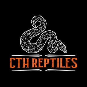 Cypress Fire YB Spotnose Clown Ball Python by CTH Reptiles - MorphMarket