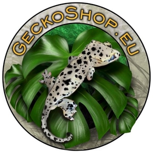 GeckoShop - MorphMarket