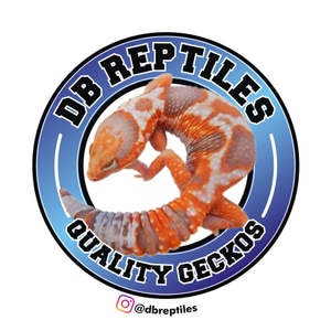 DB Reptiles - MorphMarket