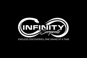 Infinity Serpents - MorphMarket