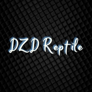 Dzd Reptiles - MorphMarket