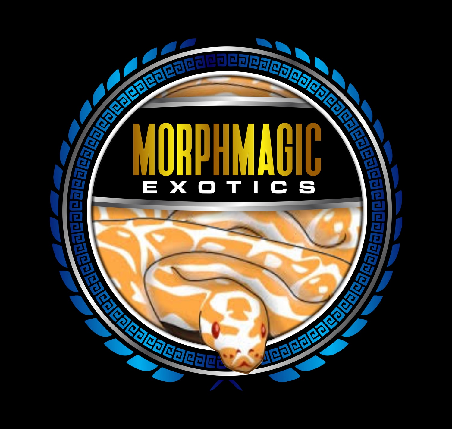 Morphmagic Exotics llc's Collection - MorphMarket