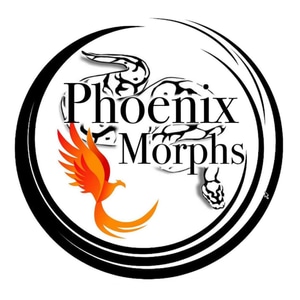 Phoenix Morph - MorphMarket