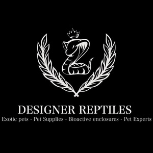 Designer Reptiles - MorphMarket