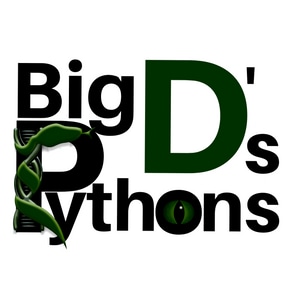 Big D's Pythons - MorphMarket