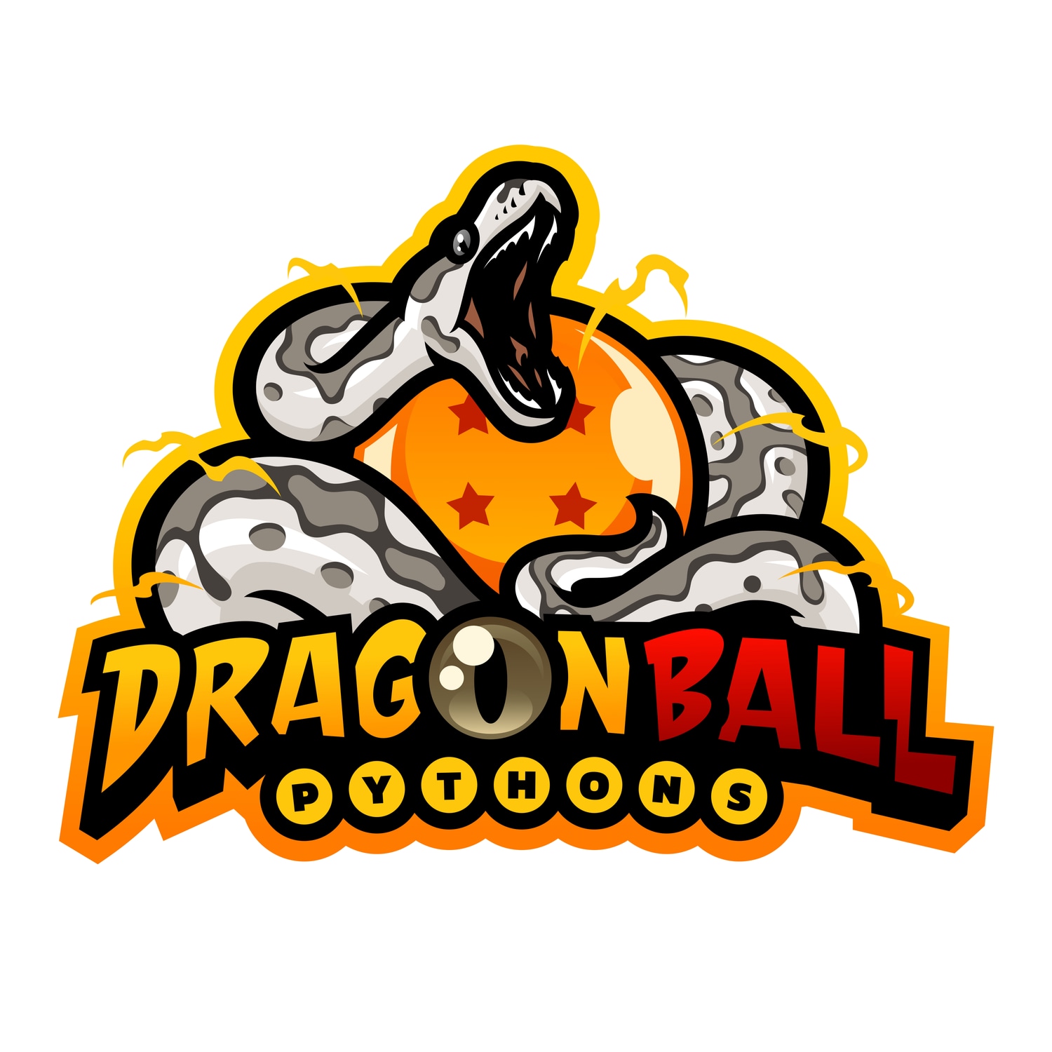 Ball Python Clutch: 23-5 by Dragon Ball Pythons - MorphMarket