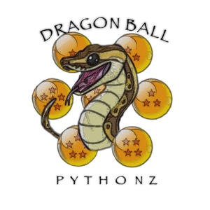 Dragon Ball PythonZ - MorphMarket