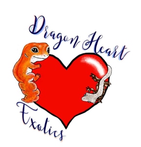 Dragon Heart Exotics - MorphMarket