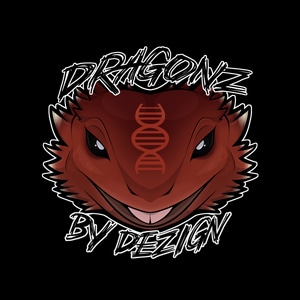 Dragonz by Dezign - MorphMarket