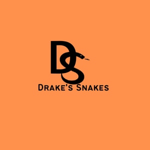 Drakes Snakes - MorphMarket