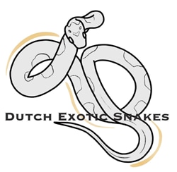 Dutch Exotic Snakes - MorphMarket