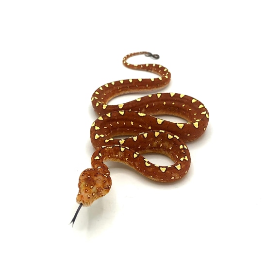 Green Tree Python by East Bay Vivarium