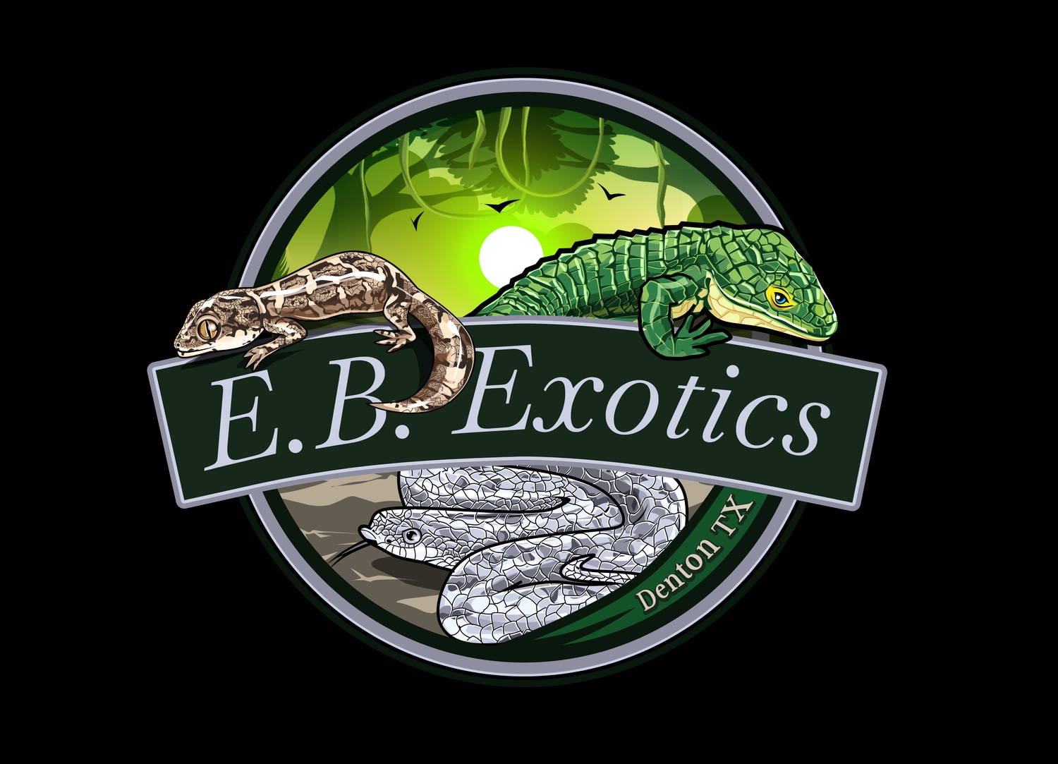 Tri-Color Hognose Clutch: 25-NEF-2 by E.B. Exotics - MorphMarket