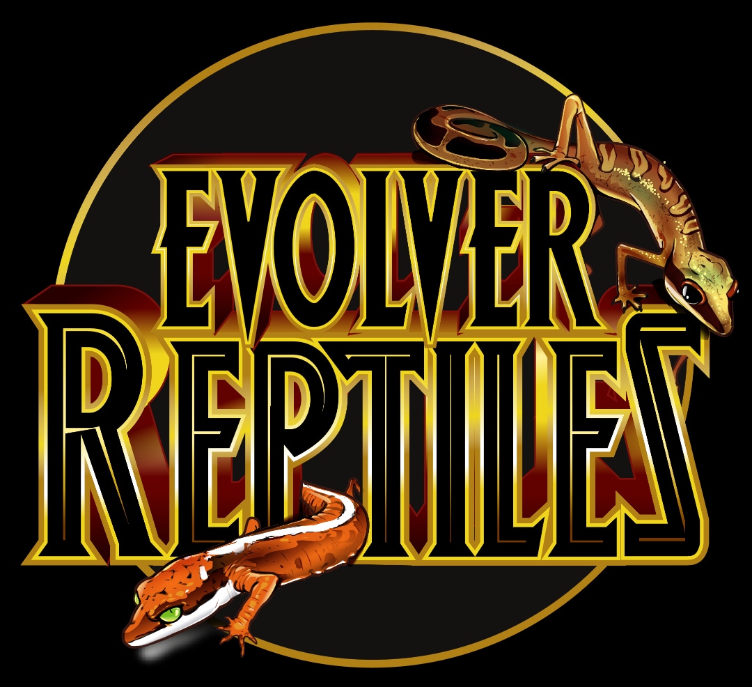 Evolver Reptiles's Collection - MorphMarket