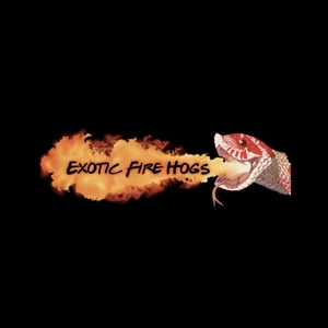 Exotic Fire Hogs - MorphMarket