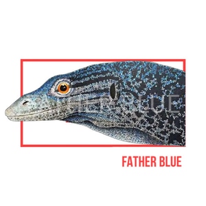 Father Blue - MorphMarket