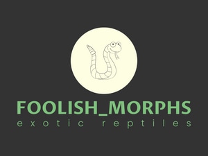 Foolish_Morphs - MorphMarket