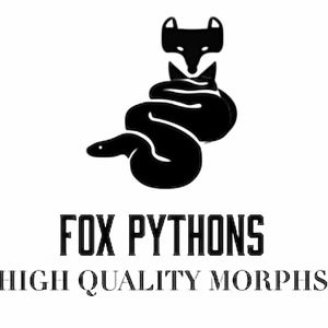 Fox Pythons - MorphMarket
