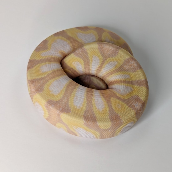 Super OD Yellowbelly Enchi Super Banana Het Piebald Ball Python by ...