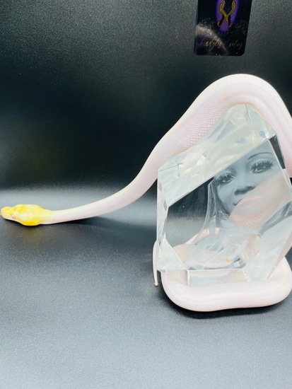 Female White Phase Albino Super Motley Reticulated Python by Ladytis ...