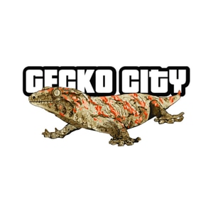 Gecko City - MorphMarket