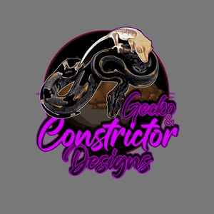 Gecko & Constrictor designs - MorphMarket