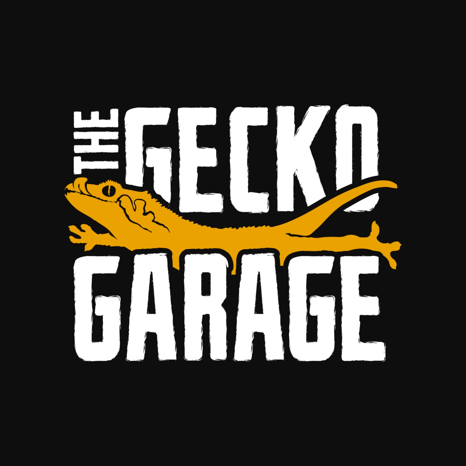 The Gecko Garage's Collection - MorphMarket
