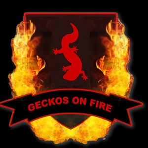 Geckos on Fire - MorphMarket