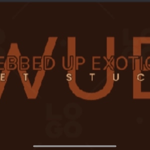 Webbed Up Exotics - MorphMarket