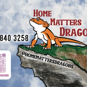 Home Matters Dragons - MorphMarket