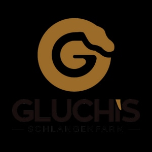 Stefan Gluch - MorphMarket