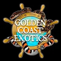 Golden Coast Exotics - MorphMarket