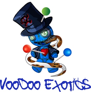 VooDoo Exotics - MorphMarket