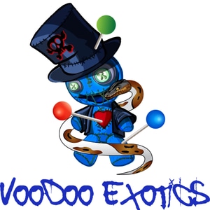 VooDoo Exotics - MorphMarket