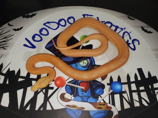 Lavender Goldenchild Sunfire Reticulated Python by VooDoo Exotics