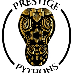 Prestige Pythons - MorphMarket