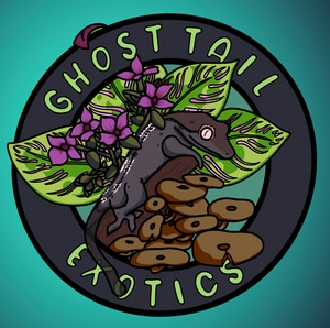 Ghost Tail Exotics - MorphMarket