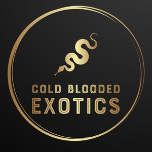 Cold Blooded Exotics - MorphMarket