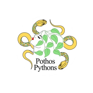 Pothos Pythons - MorphMarket