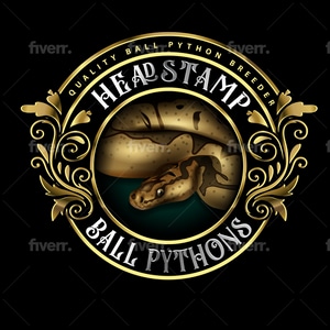 Headstamp Ball Pythons - MorphMarket