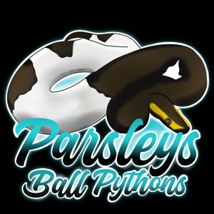Parsleys ball pythons - MorphMarket
