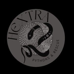 Hextra Pythons - MorphMarket