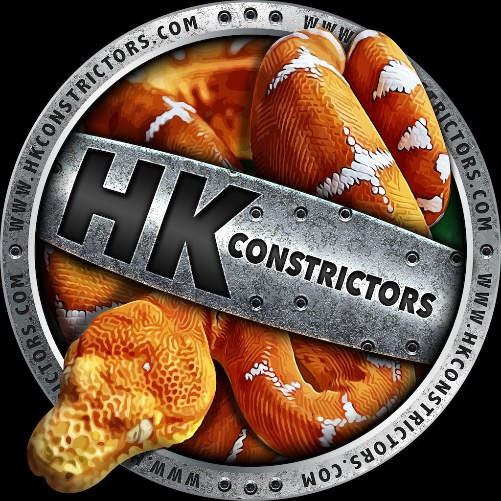HK Constrictors's Collection - MorphMarket