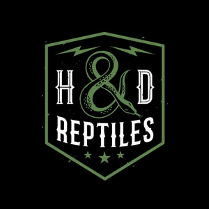 H and D Reptiles - MorphMarket