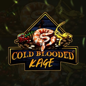 Cold Blooded Kage - MorphMarket
